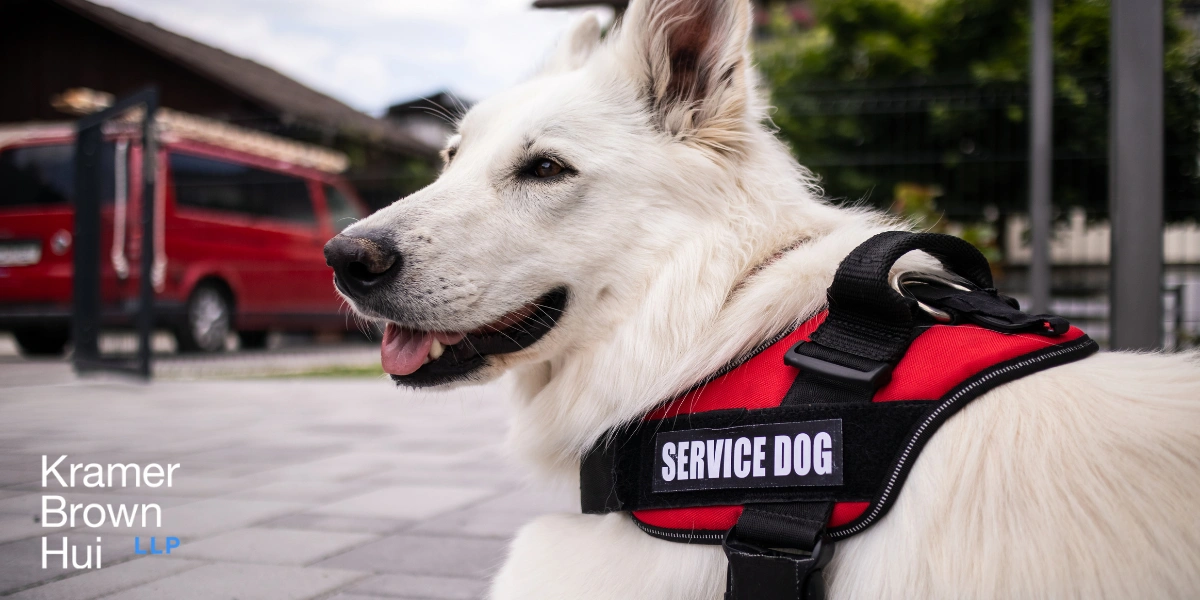 Service Animals at Workplace in California: Know Your Rights (2026)